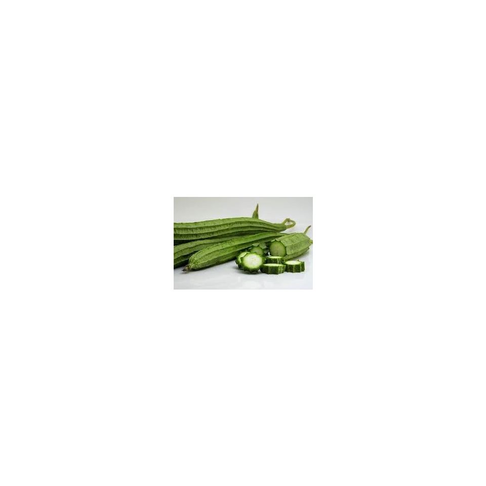Fresh Ridge Gourd 1 Piece